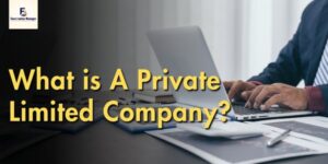 What is A Private Limited Company? | Complete Guide on Pvt. Ltd.