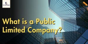 What is A Private Limited Company? | Complete Guide on Pvt. Ltd.